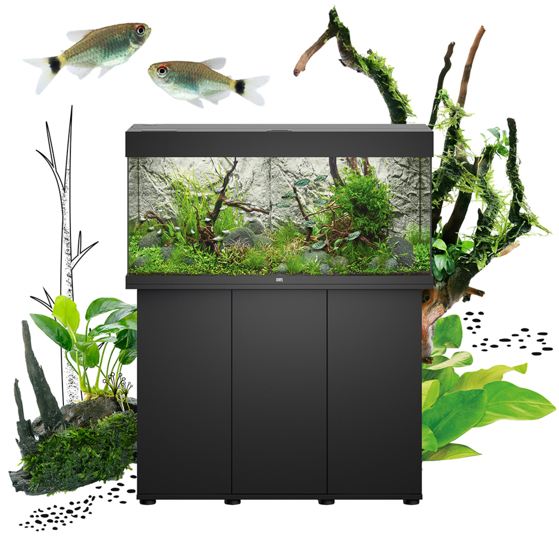Rio 450 LED | JUWEL Aquarium