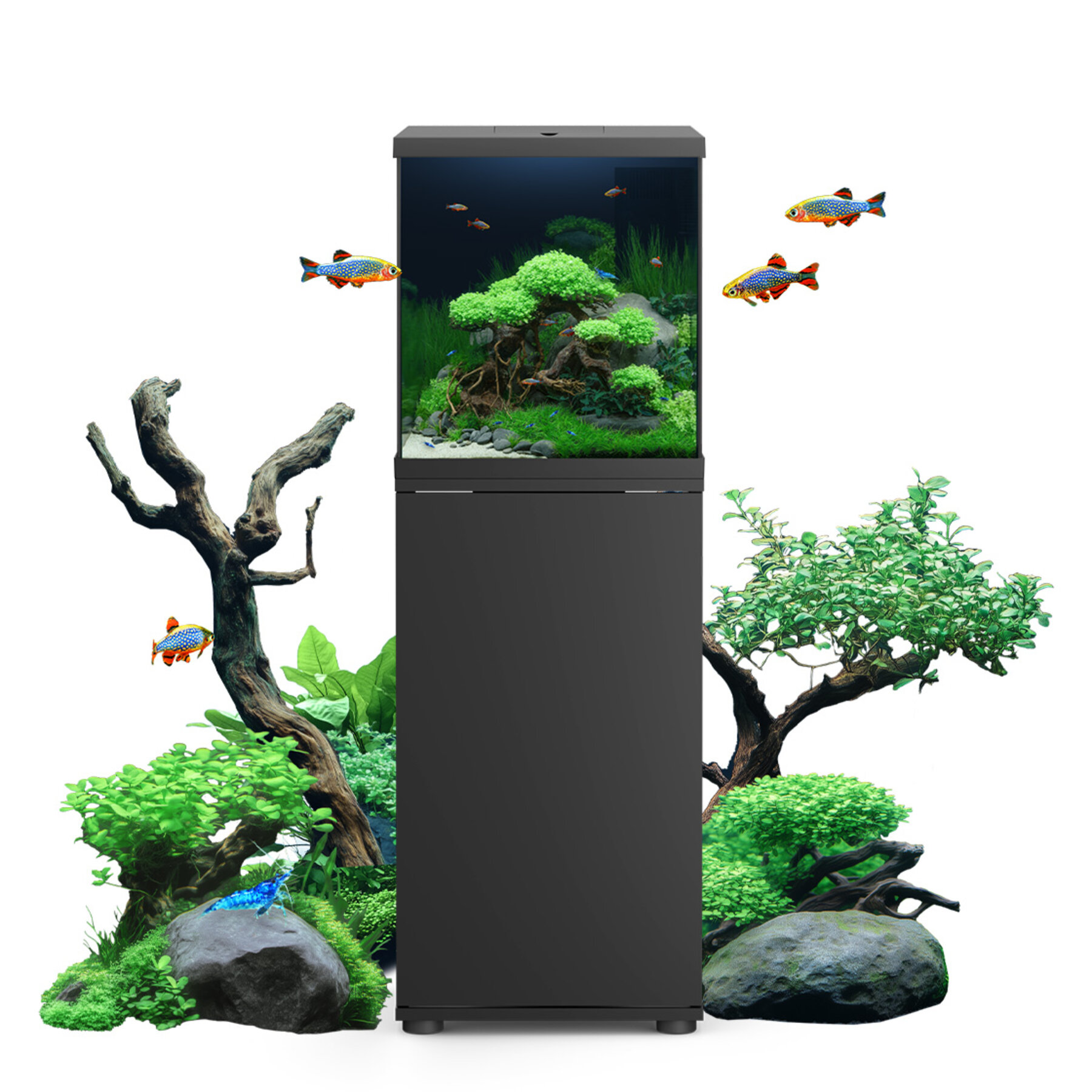 Vio Cube 54 | JUWEL Aquarium