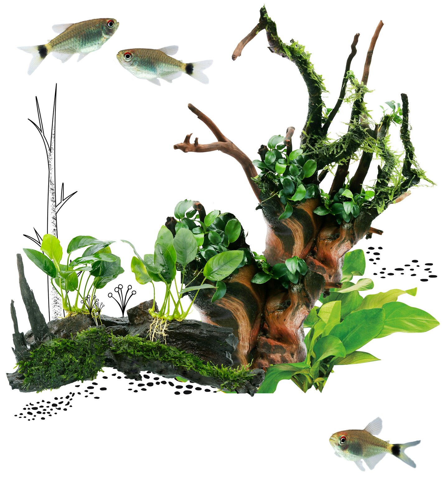 Aquariums | JUWEL Aquarium