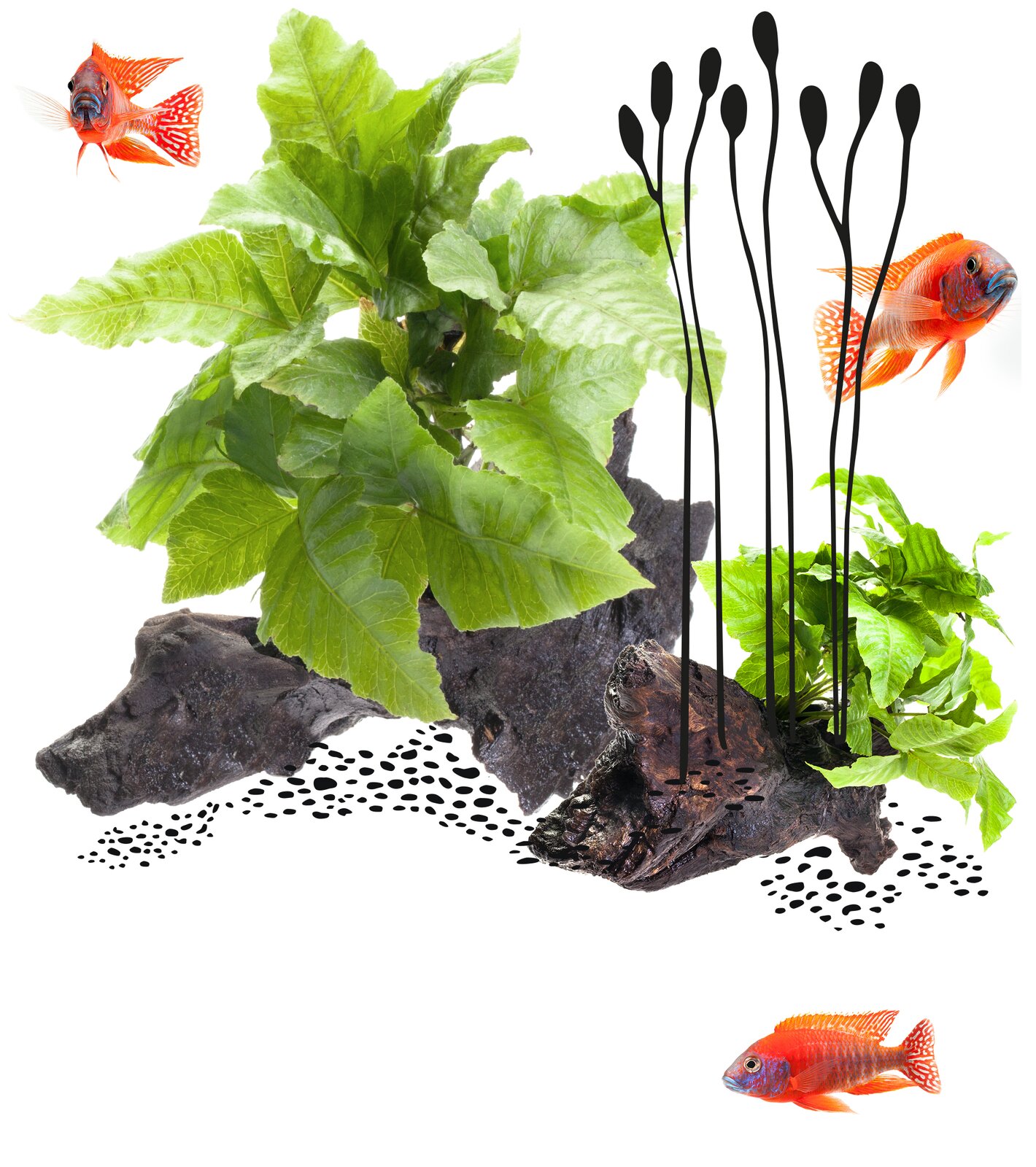 Aquariums | JUWEL Aquarium