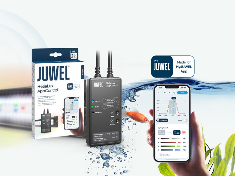 Main | JUWEL Aquarium