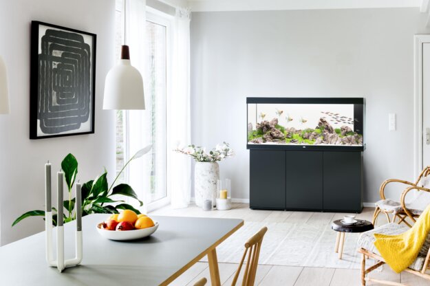 Rio 450 LED | JUWEL Aquarium