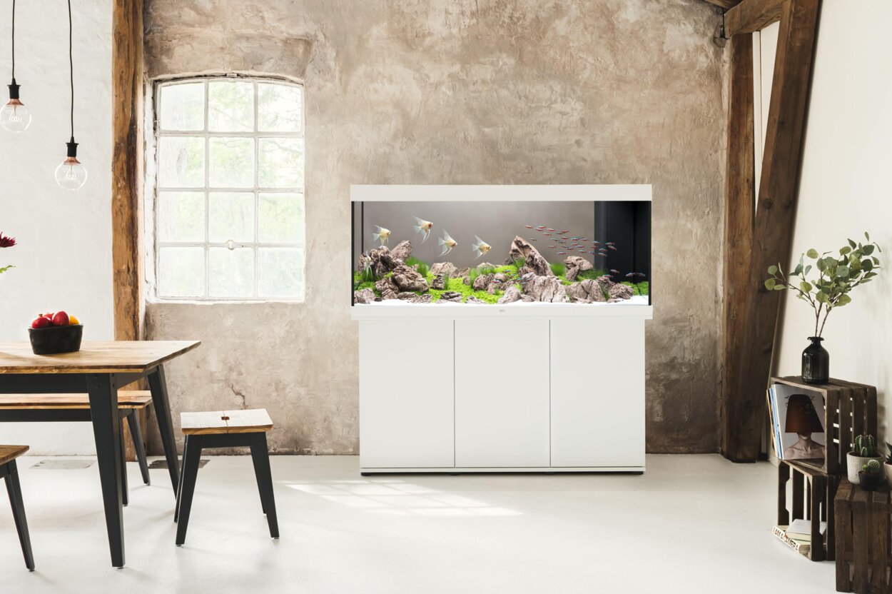 Rio 450 LED | JUWEL Aquarium