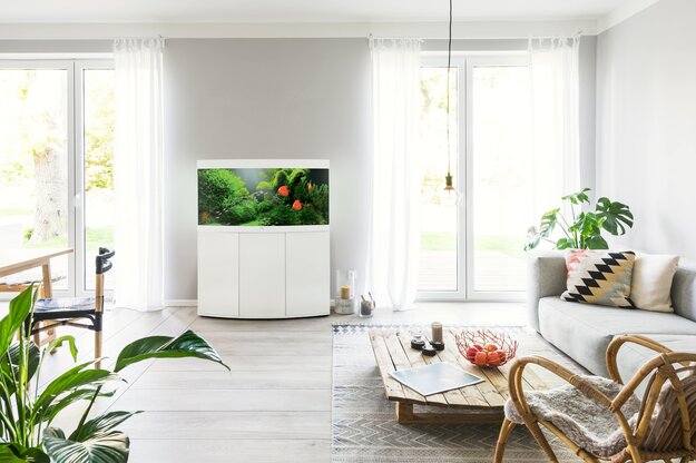 Vision 260 LED | JUWEL Aquarium