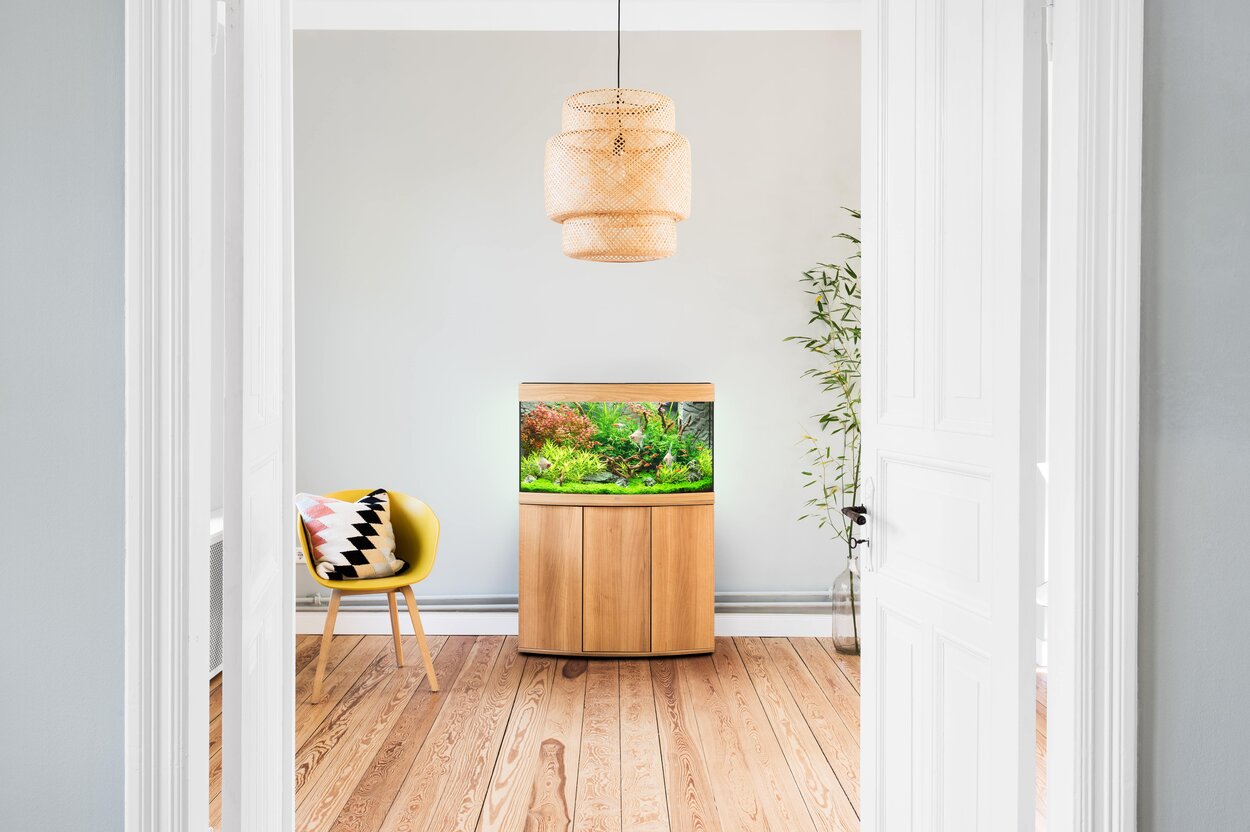 Vision 180 LED | JUWEL Aquarium