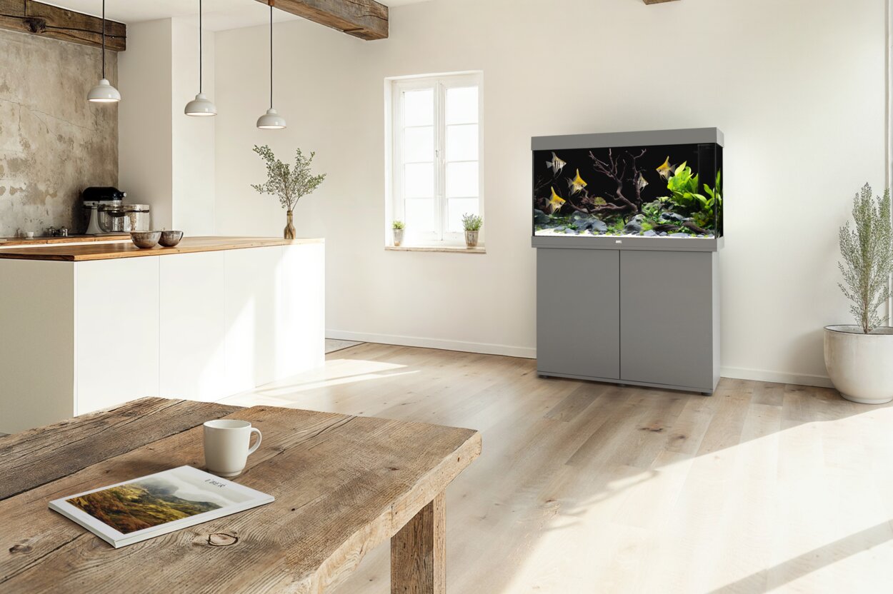 Rio 290 | JUWEL Aquarium