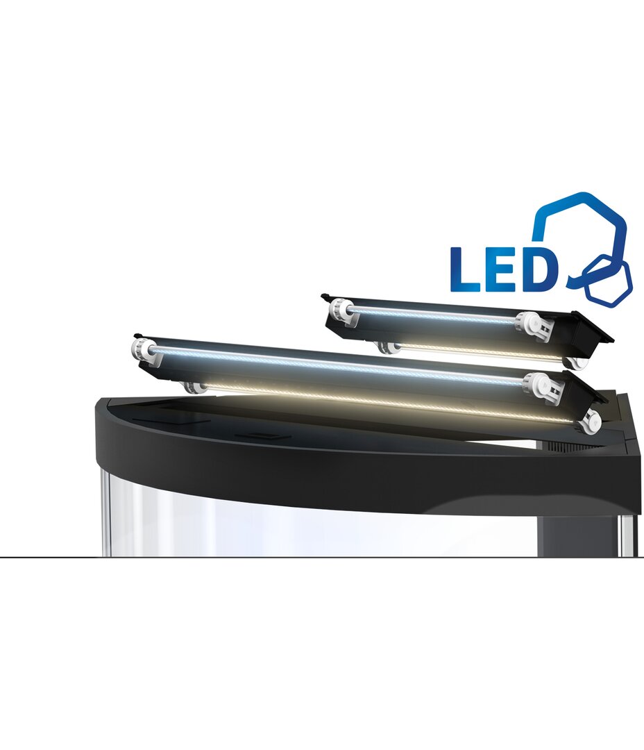 Trigon 350 LED | JUWEL Aquarium