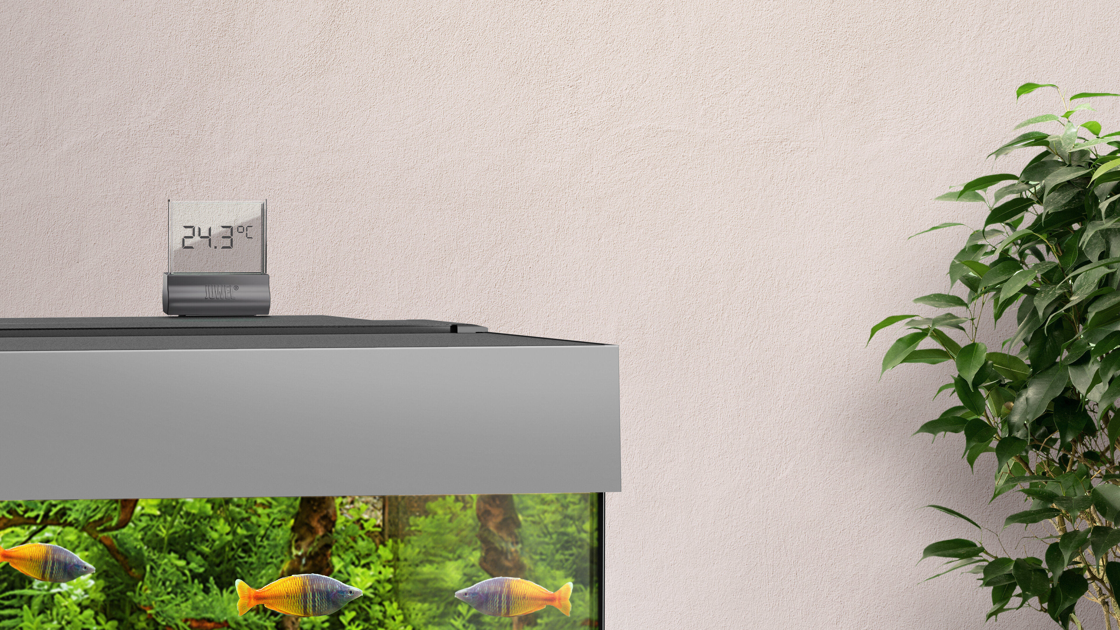 Main | JUWEL Aquarium