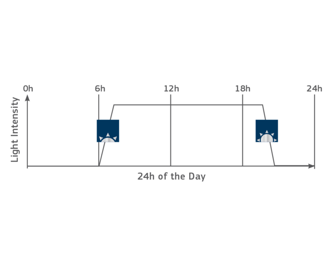 NovoLux Day Control | JUWEL Aquarium