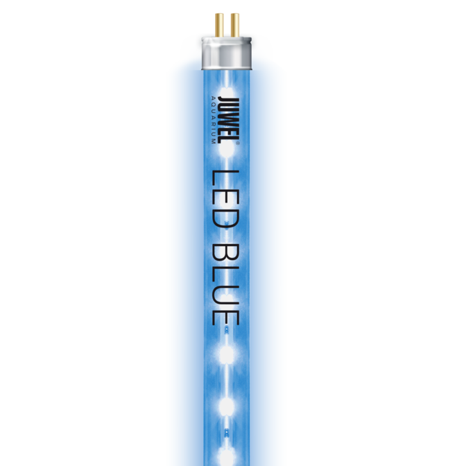 LED Blue | JUWEL Aquarium