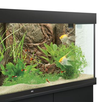 Cliff Dark | JUWEL Aquarium