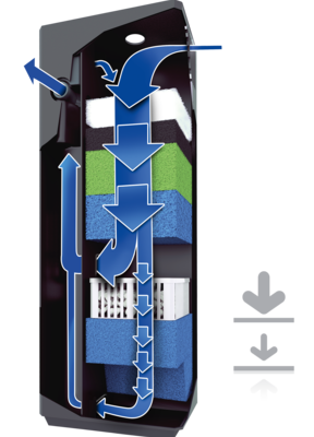 Main | JUWEL Aquarium