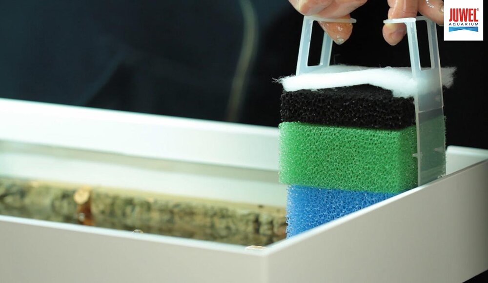 setup-1 | JUWEL Aquarium
