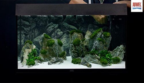 setup-9 | JUWEL Aquarium